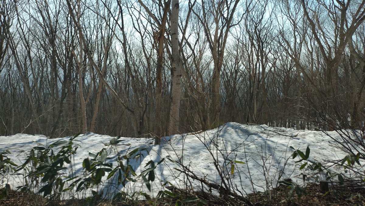 【旅行記】磐梯山と那須塩原 '25GWの旅①磐梯吾妻スカイラインドライブ｜TRIP_YUKO｜お出かけジャンキー