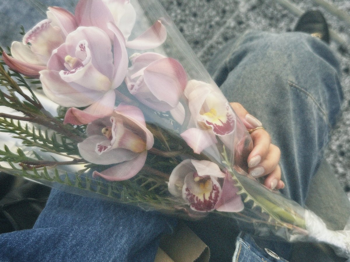 自己紹介｜はじめてのnote｜minami_nesia