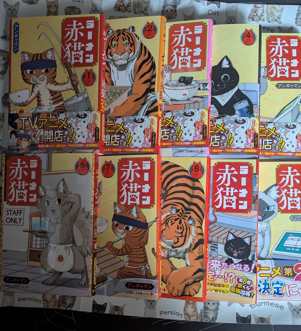 遂に大人買いしました🐯｜kei1diablo