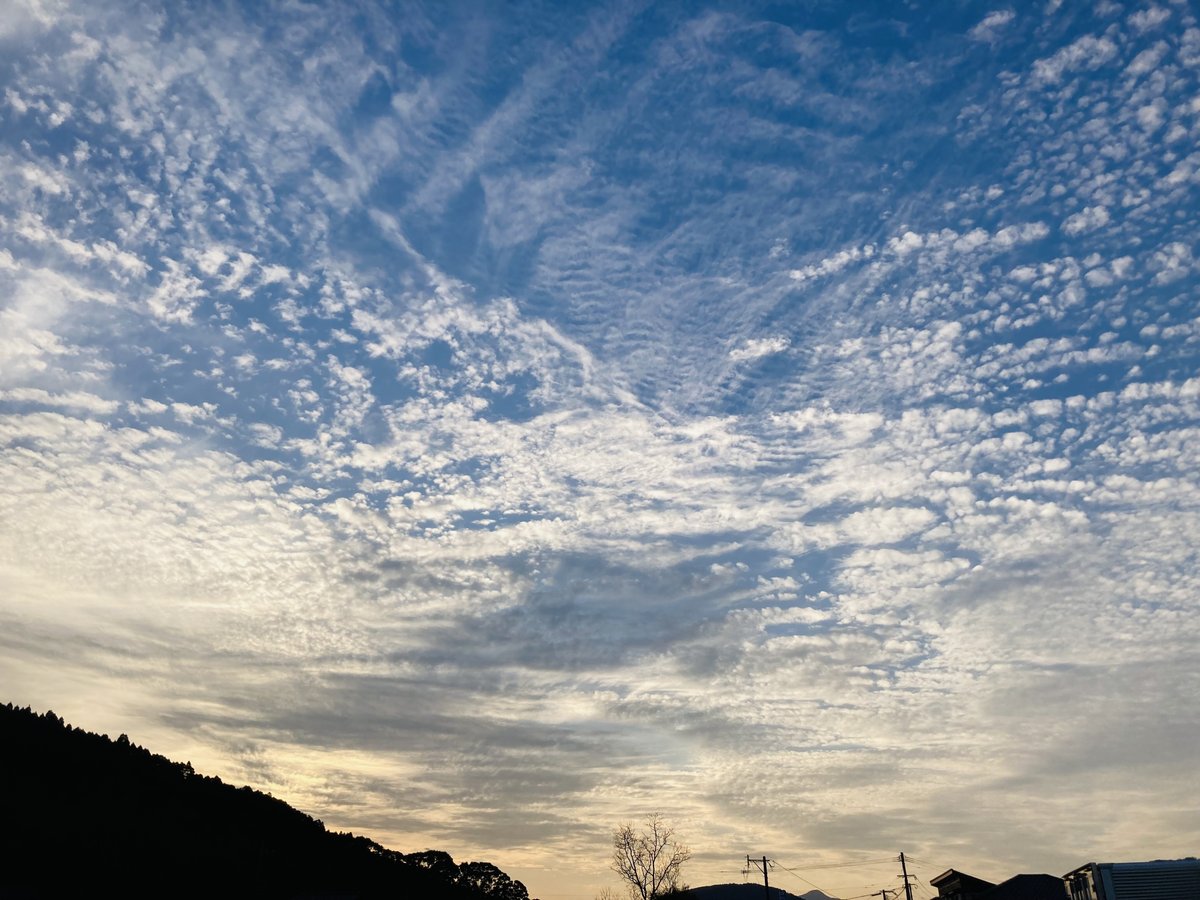 「まぐらだ屋のマリア」を読み終えて、 辺境の町で見つけた光。｜Tabi_tomo