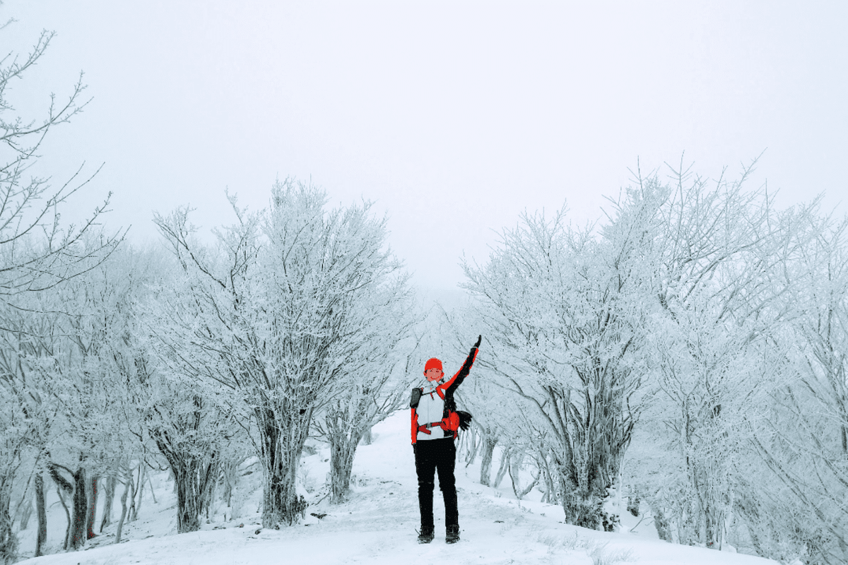 “登山者とつくる”ミレーの巻き込み型マーケティング戦略とは｜YAMAP / ヤマップ