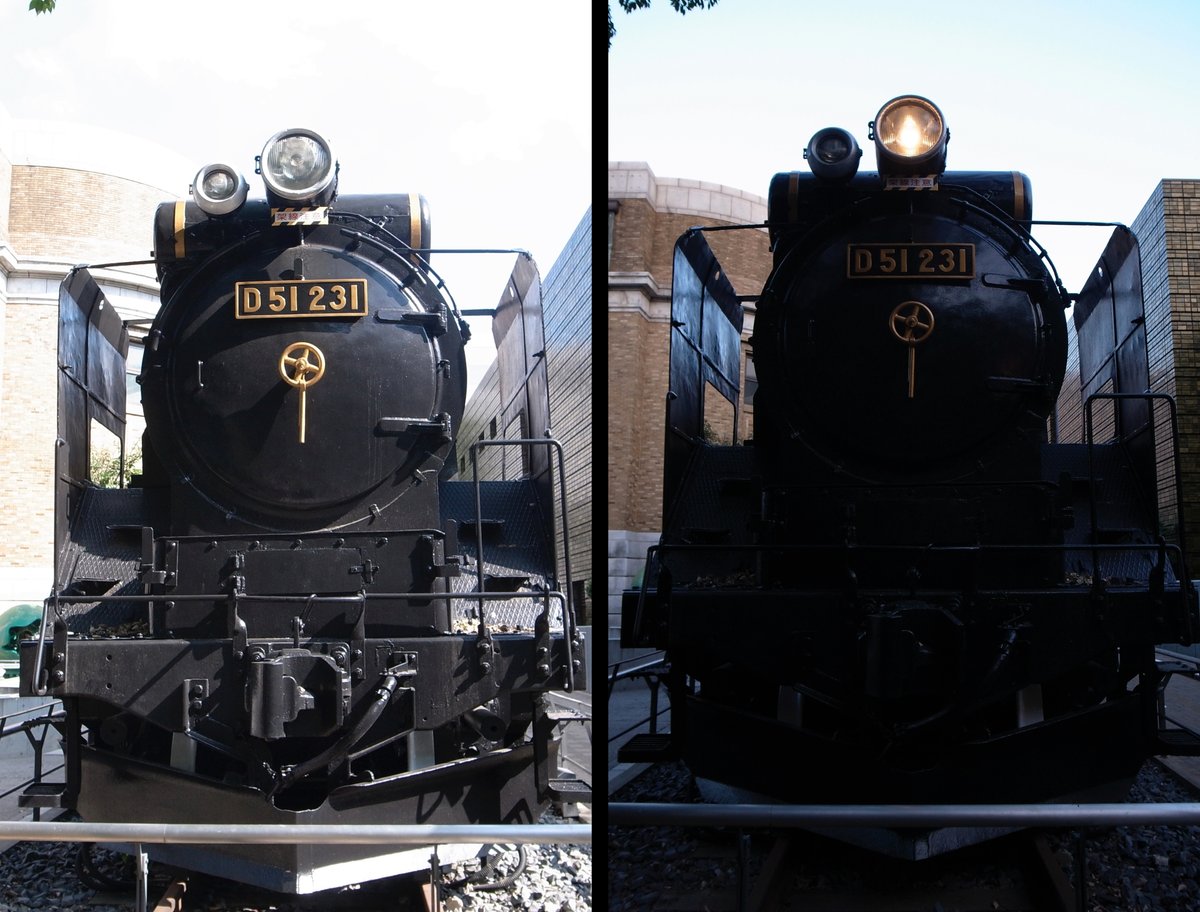 201110020853 上野のD51 ｜雑記草（ざっきそう）