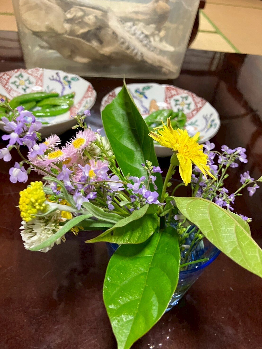 自己表現欲求を満たす、自然の遊び｜YUI-KICHI★