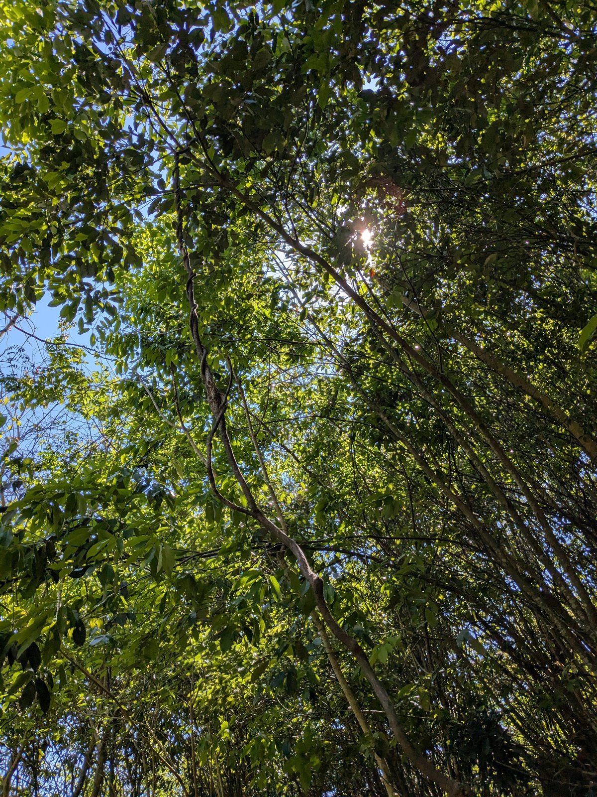 自己表現欲求を満たす、自然の遊び｜YUI-KICHI★