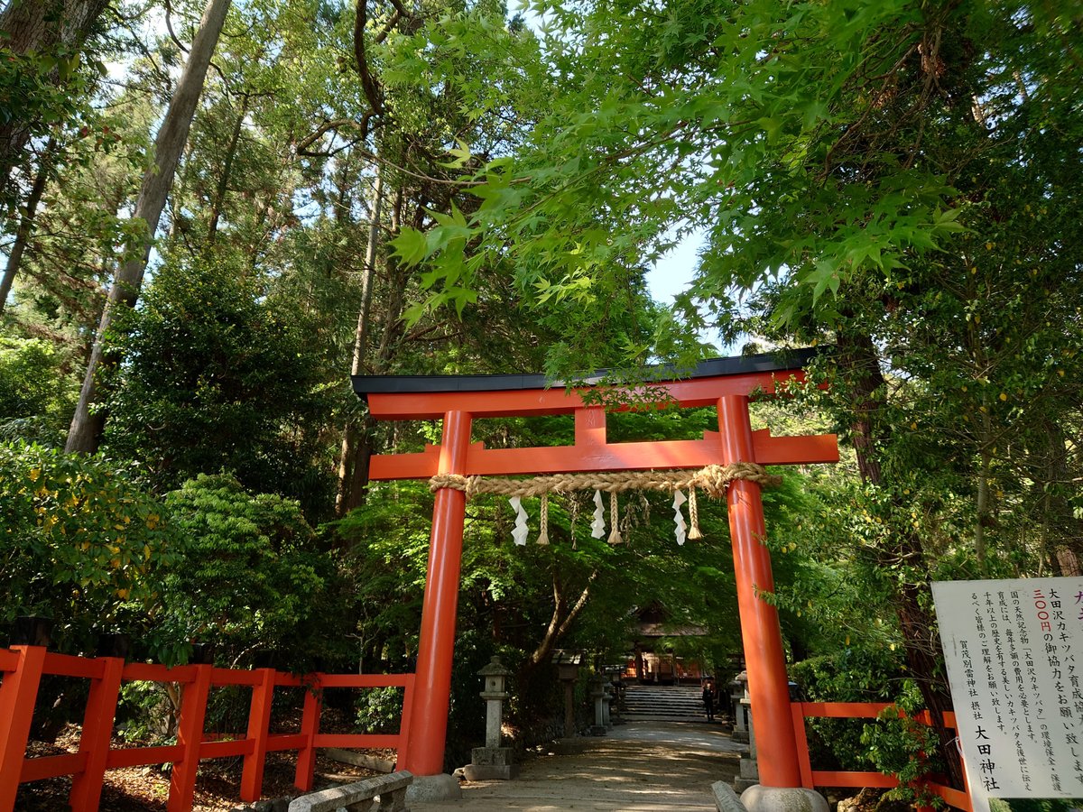 深泥池の大蛇伝説、大田神社の杜若、そして葵祭が始まる｜Arie