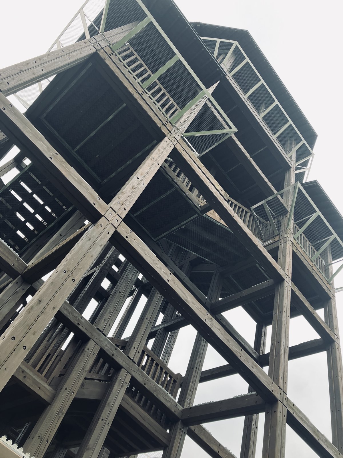 50MHz RIOT in Japan #11 250426｜SUUA-SAN