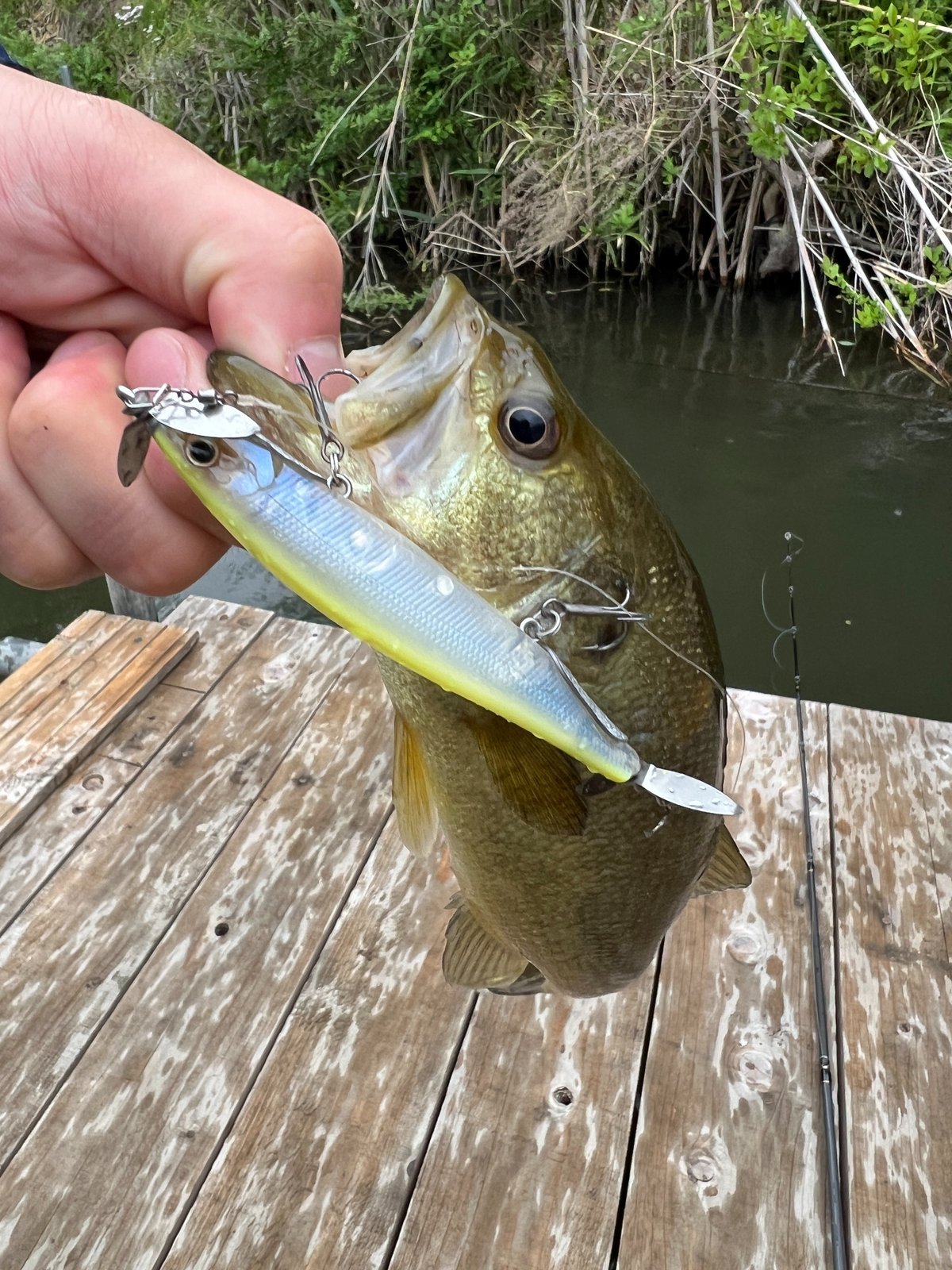 春バスって、マジで難しい。でも釣れたときの喜び、やばいよねって話。｜michi days