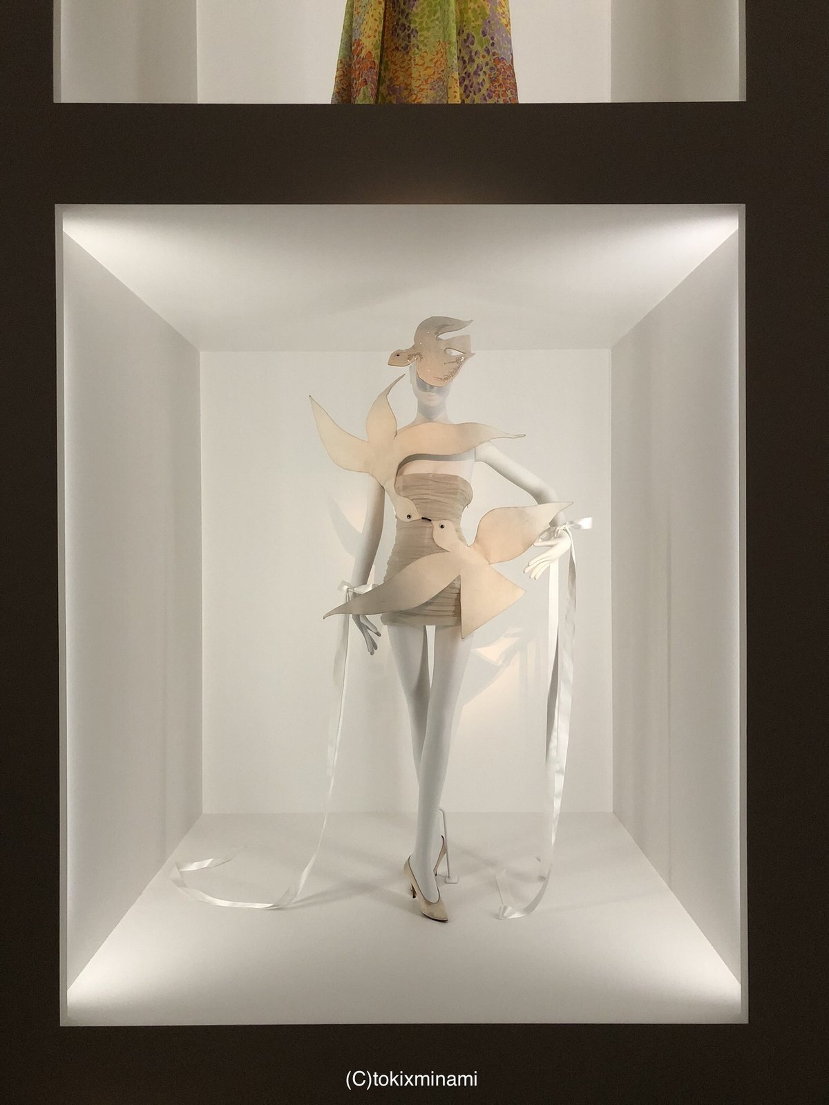 50歳を迎える私が伝えたいこと｜Toki Minami