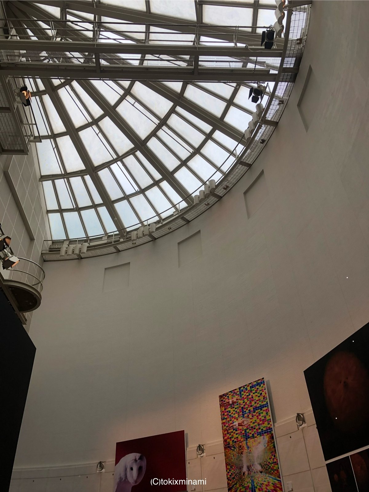 50歳を迎える私が伝えたいこと｜Toki Minami