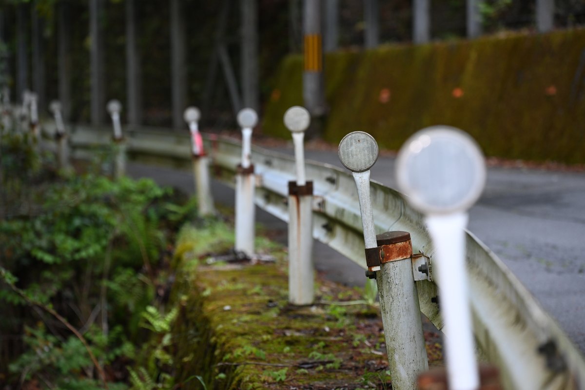 【写真】Nikkor Z 28-135mm f/4 PZ｜Yusuke Marianne