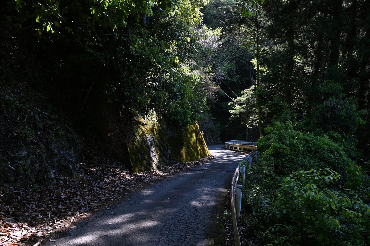 【写真】Nikkor Z 28-135mm f/4 PZ｜Yusuke Marianne
