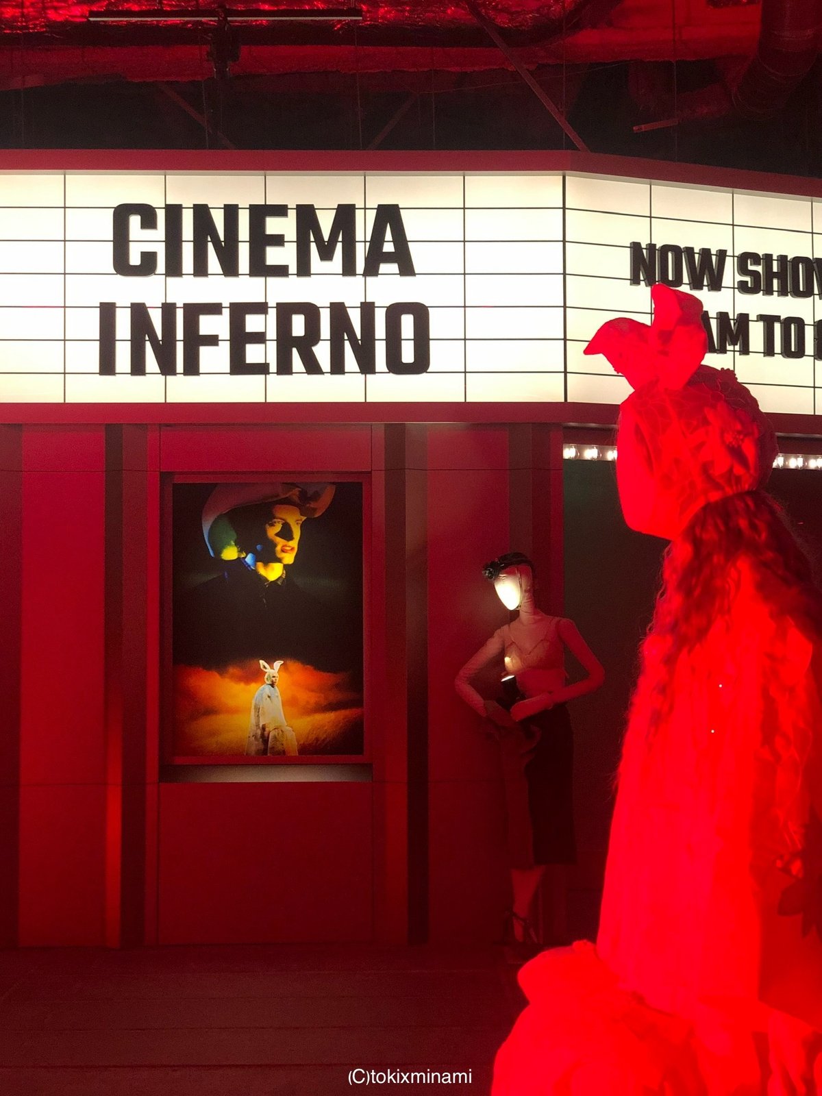 50歳を迎える私が伝えたいこと｜Toki Minami