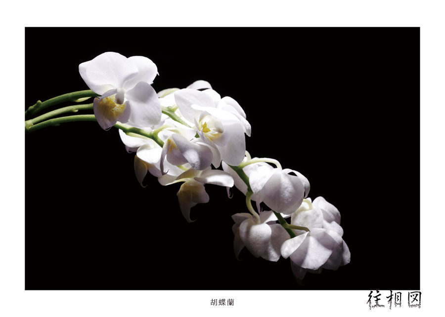 作品【往相図】-について｜Takahashi Toshio