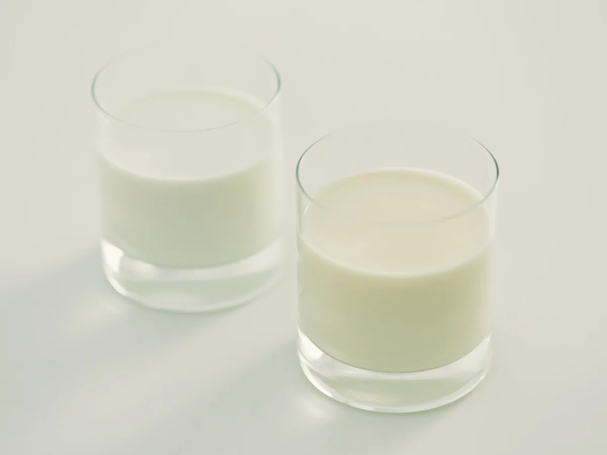 奥能登で放牧を行う「寺西牧場」の“ゴールデンミルク”と“ゴールデンアイス”販売｜CRAFT MILK'S 第二弾｜武蔵野デーリー