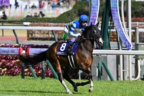 【2025 京王杯スプリングC（G2）】～予想篇｜Haya