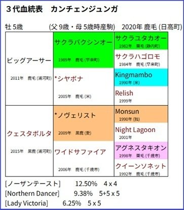 【2025 京王杯スプリングC（G2）】～予想篇｜Haya