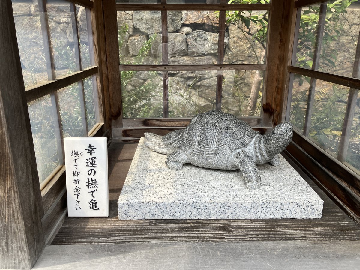 旅の備忘録 京都 松尾大社編 Spring 2025① #46｜LifeShift星の栞