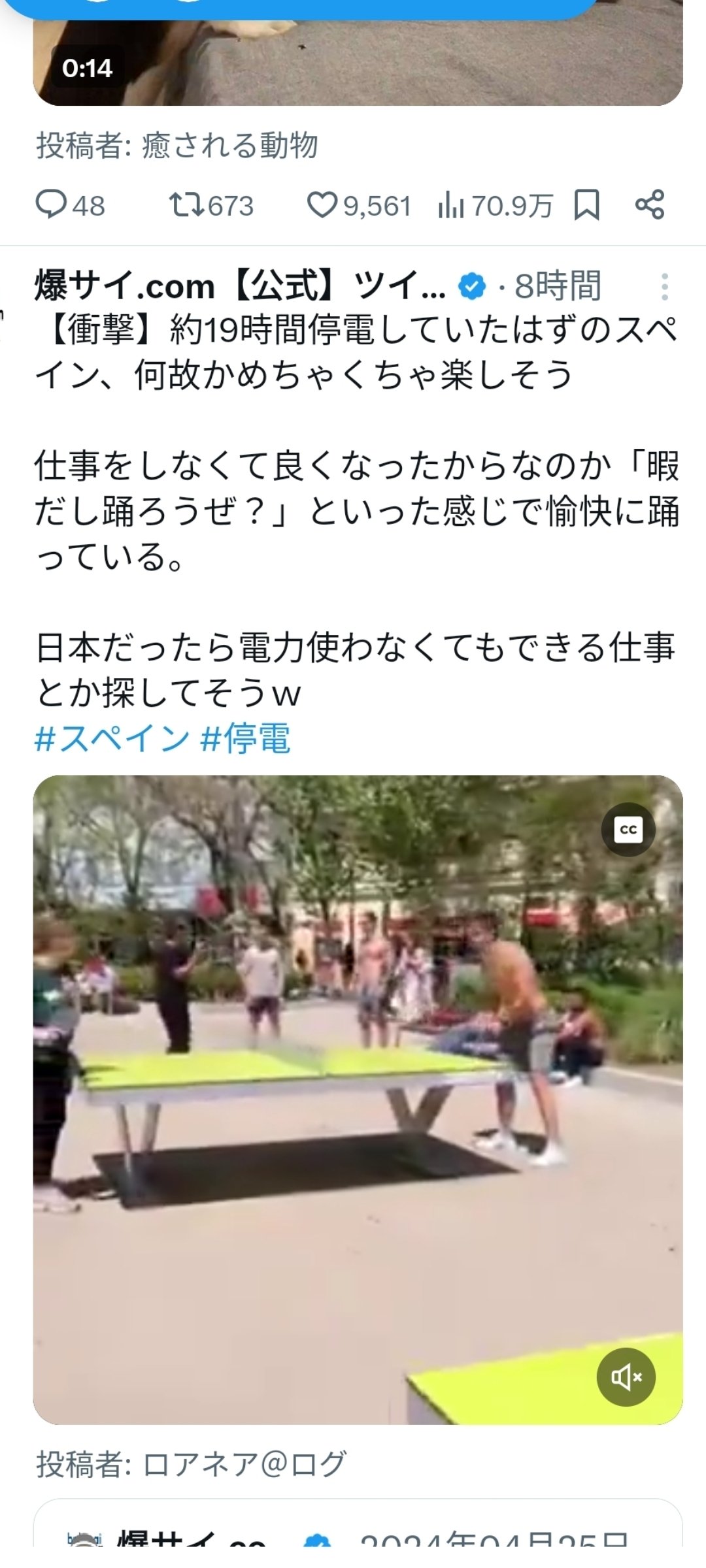 芸能人はロイヤルファミリー｜YosUke HaRaDa