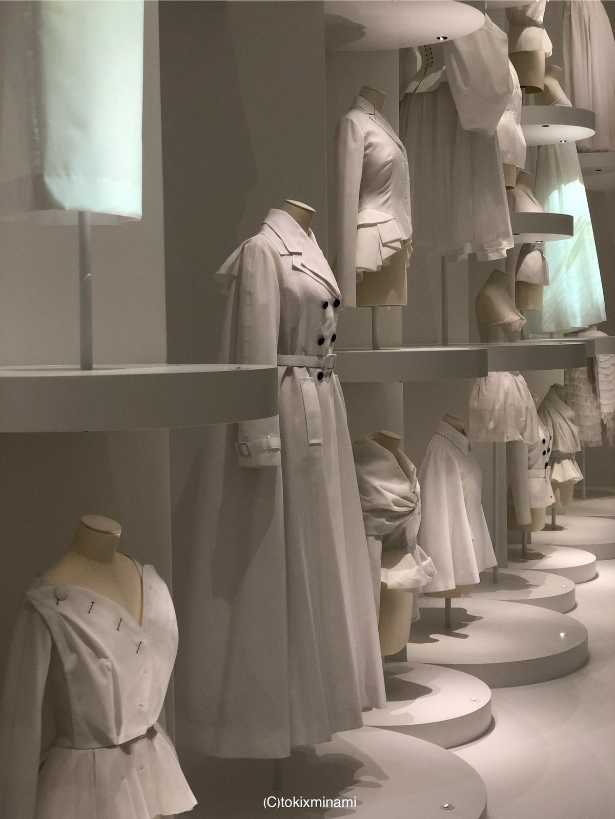 50歳を迎える私が伝えたいこと｜Toki Minami