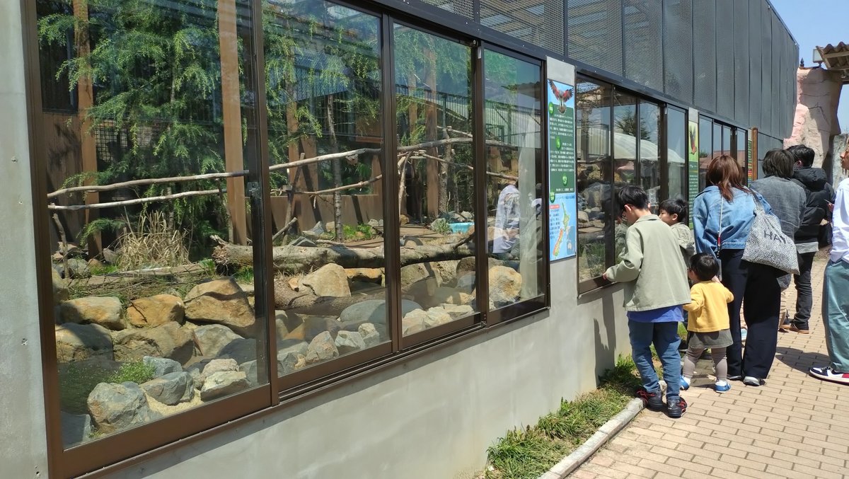 【旅行記】磐梯山と那須塩原 '25GWの旅③那須どうぶつ王国がスゴい！｜TRIP_YUKO｜お出かけジャンキー