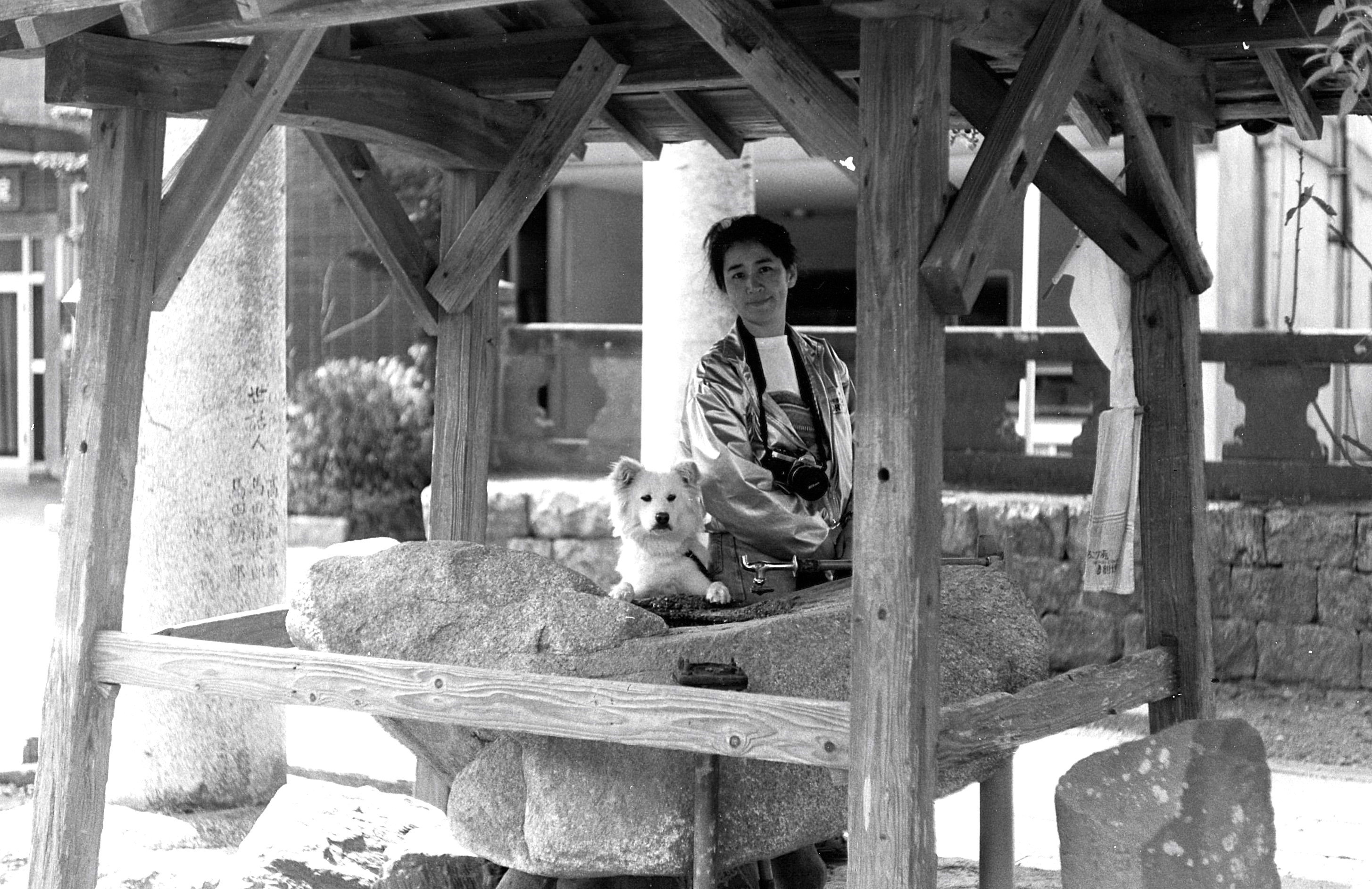 写真「With The Dogs」・・・不向き｜Rabi Sato