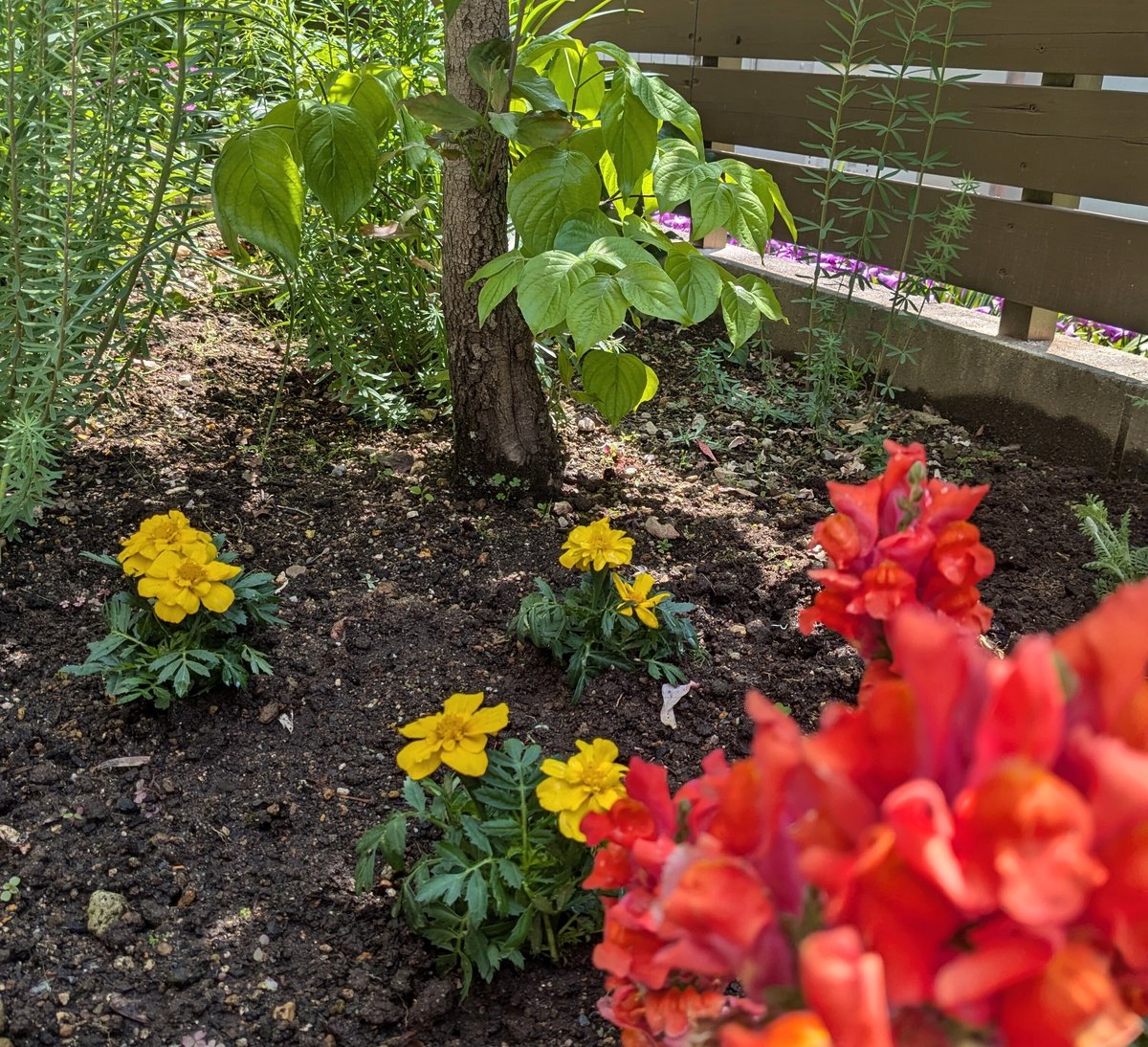 家で過ごすゴールデンウィーク｜yuko.tapir