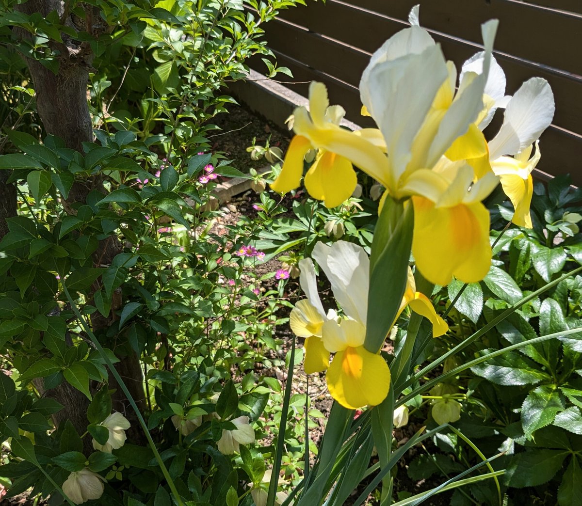 家で過ごすゴールデンウィーク｜yuko.tapir