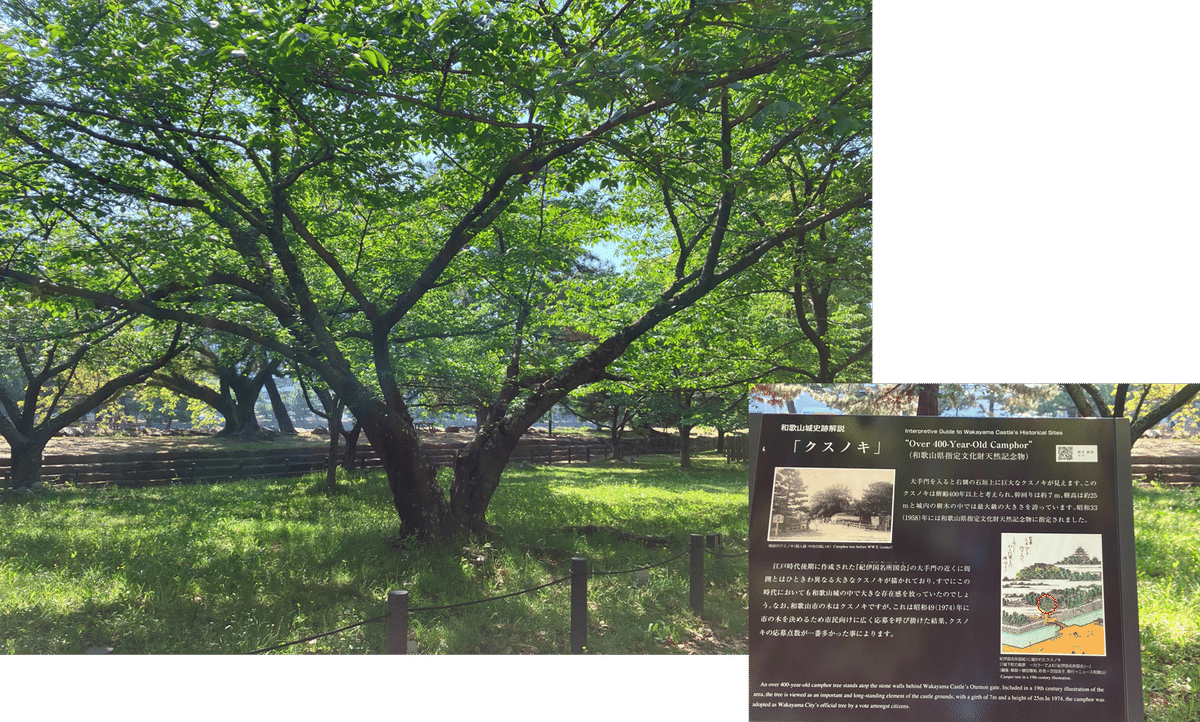 3・3・SUNフリーきっぷ－1日目：和歌山城編｜すめし