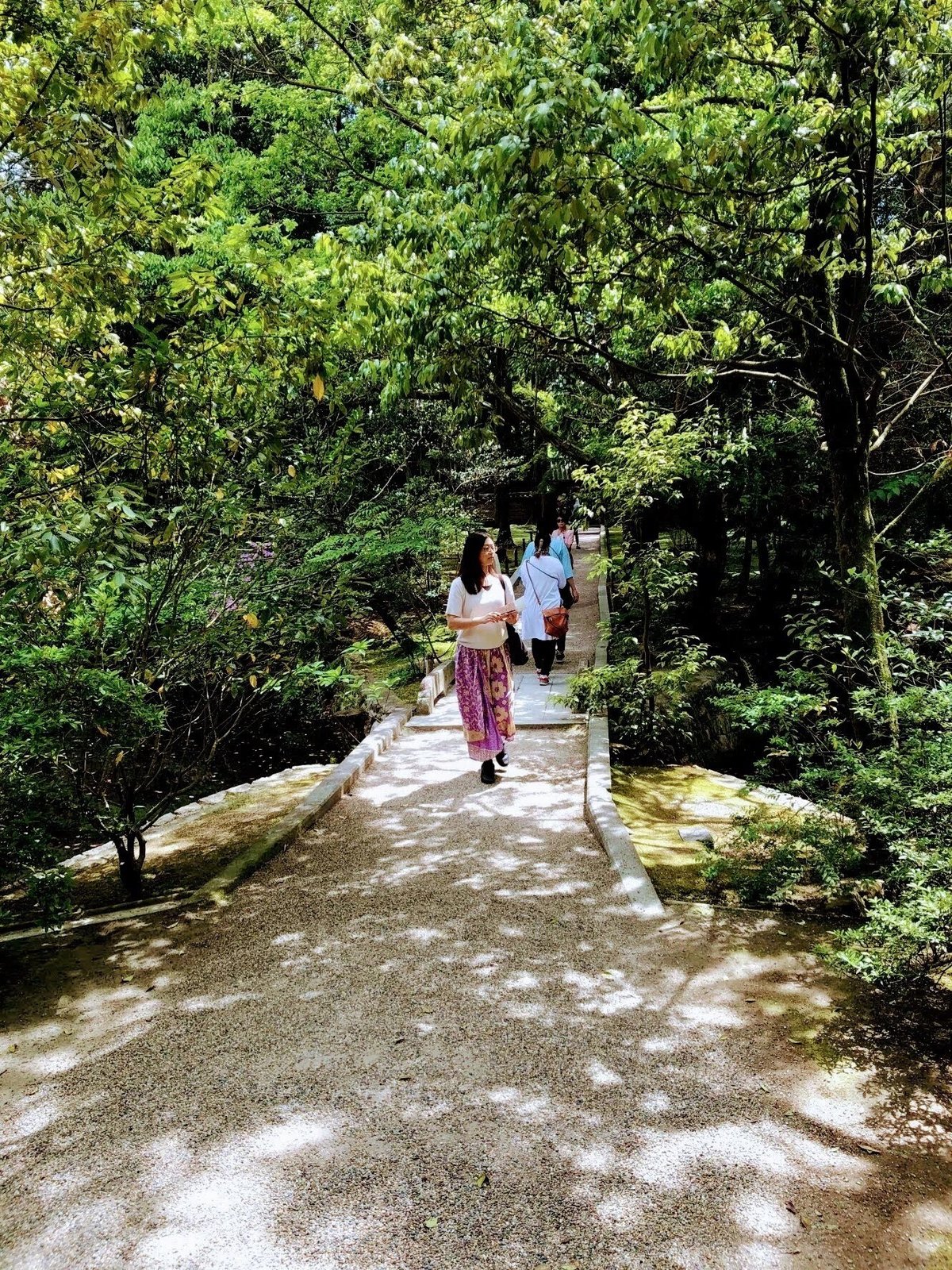 あらためて自己紹介とサービスのリニューアルについて｜Mi Yoga Yinside 女性のための陰ヨガ×インドの伝統ヨガ×アーユルヴェーダ