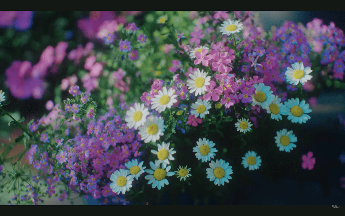 【backnumber】ブルーアンバーMV徹底考察【あなたを奪ったその日から】｜haru@新作投稿