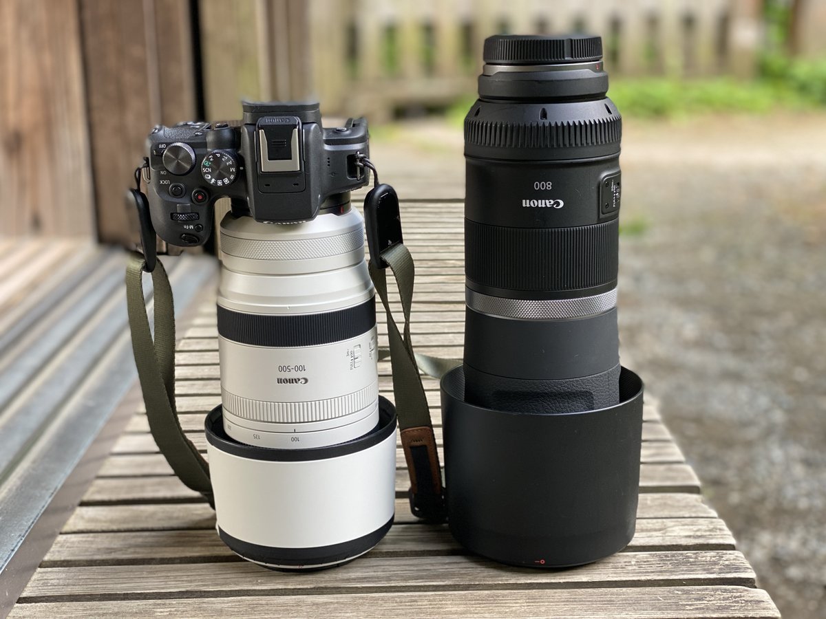 Canon RF800mm F11 IS STM 試写1回目 #2155｜RURI