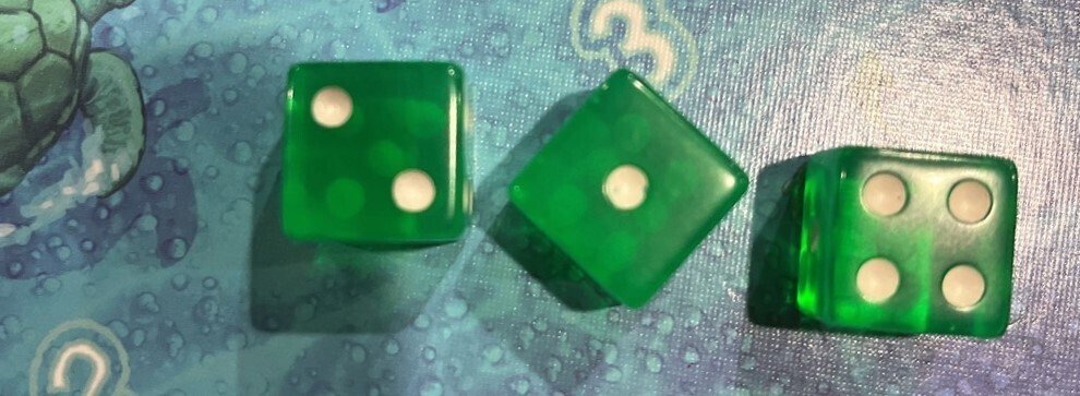 【ボードゲーム紹介】ウミガメの島｜Ryusei Games