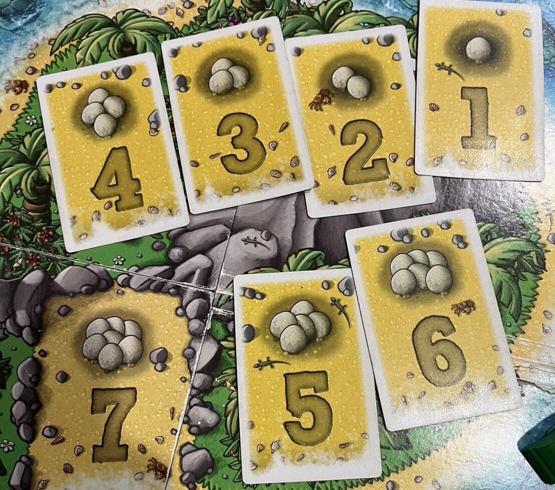 【ボードゲーム紹介】ウミガメの島｜Ryusei Games