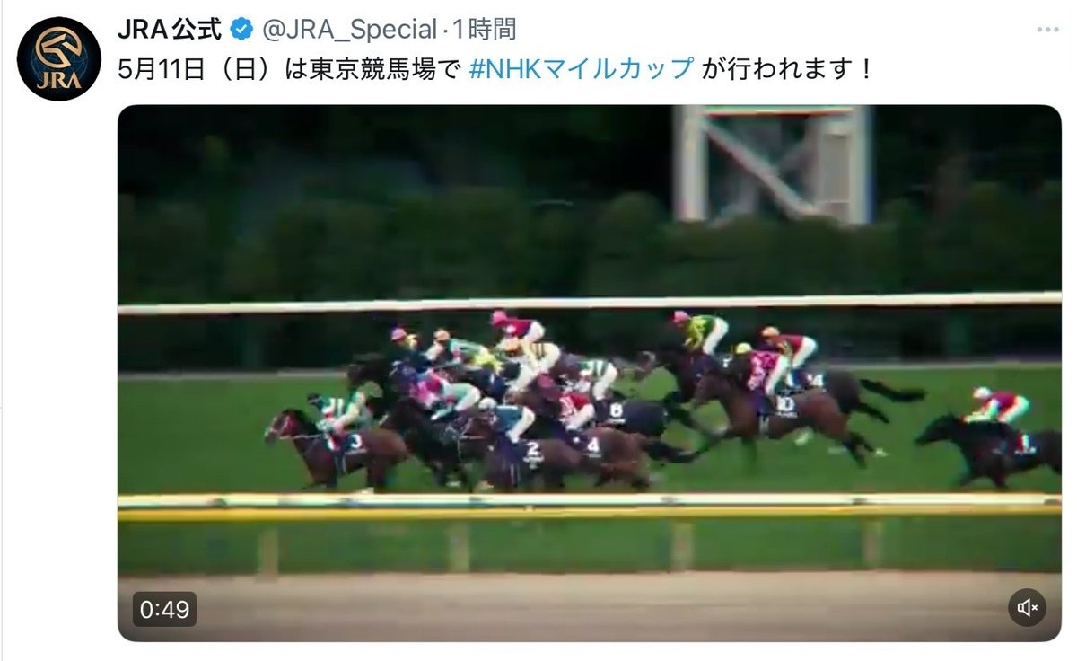 [JRA]G1NHKマイルカップ2025サイン考察②JRA公式X｜鳩胸男のサイン競馬