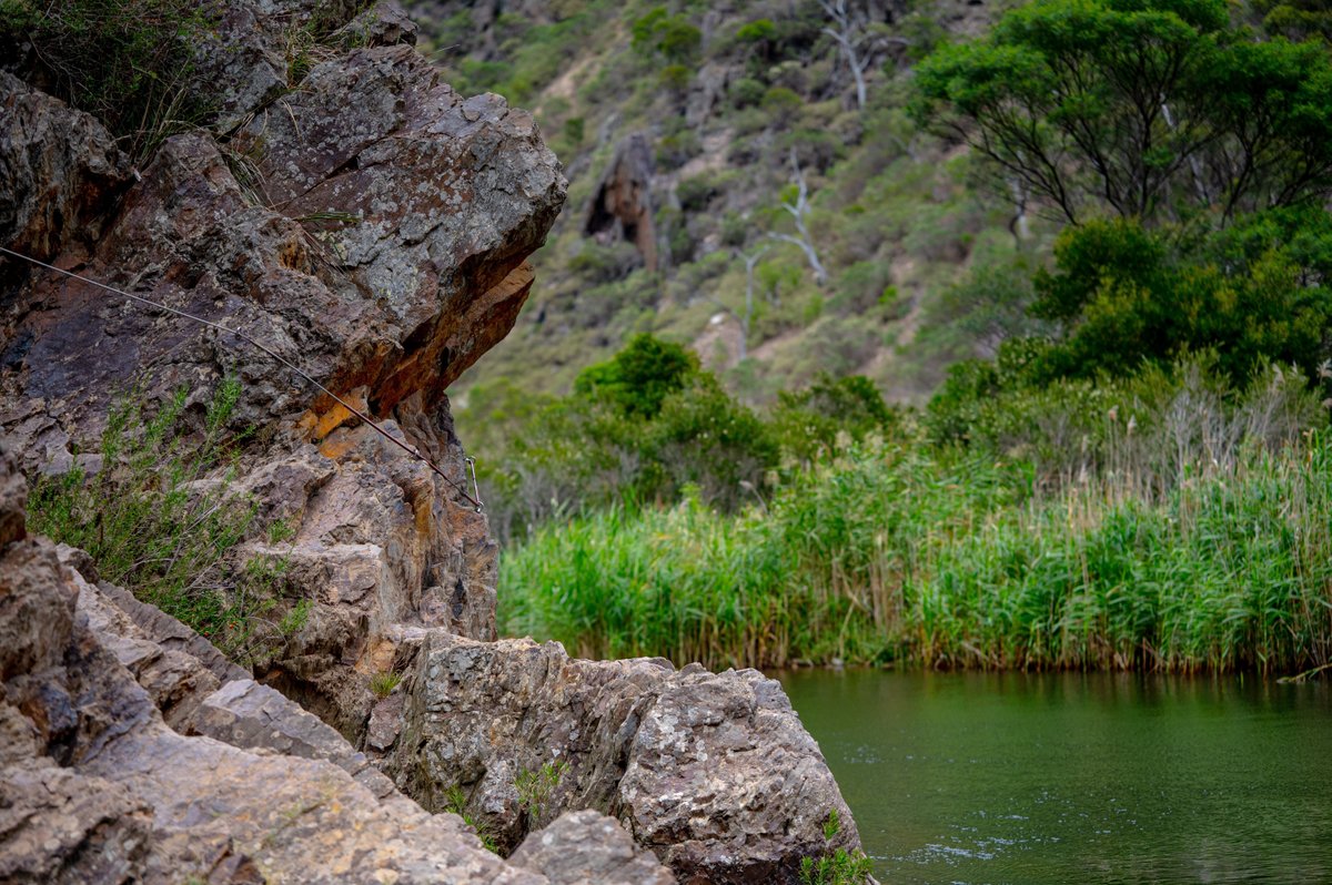 「Werribee Gorge」と2/23〜3/1の日記｜Kennosuke Shimizu