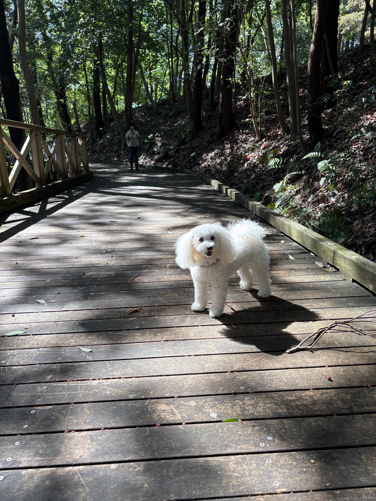 キャンピングカーの旅 佐久バルーンフェスティバルへ 20250503-04(車中泊59日目)｜hiroaki maejima