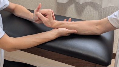 長・短橈側手根伸筋（ECRL/ECRB）の評価とアプローチ - テニス肘から機能改善まで｜療法士活性化委員会