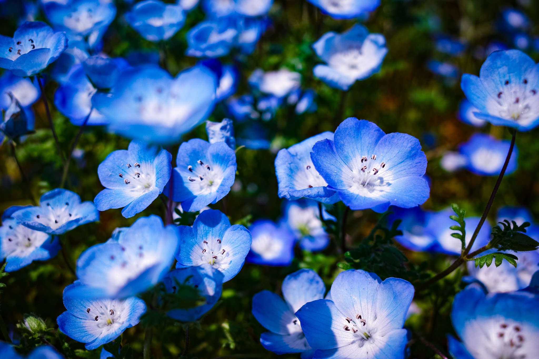 GR3マザー牧場｜yuya_aloha