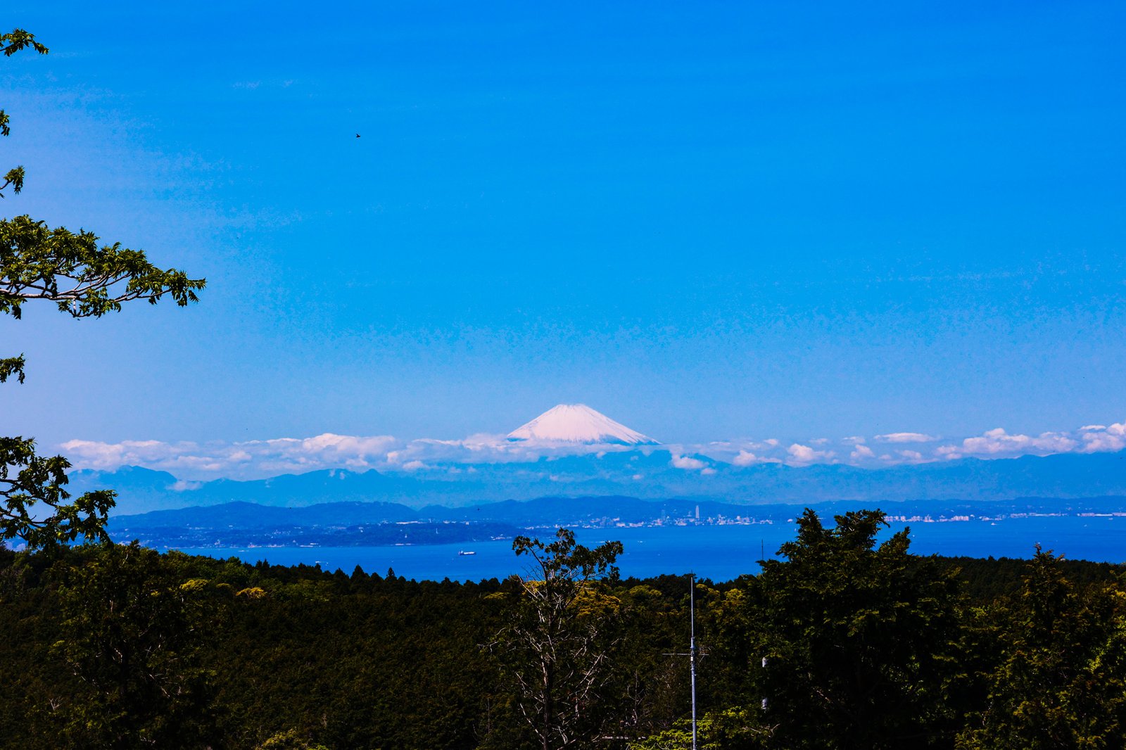 GR3マザー牧場｜yuya_aloha