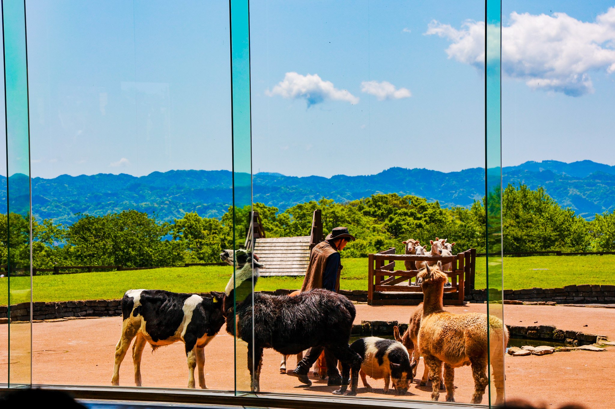 GR3マザー牧場｜yuya_aloha