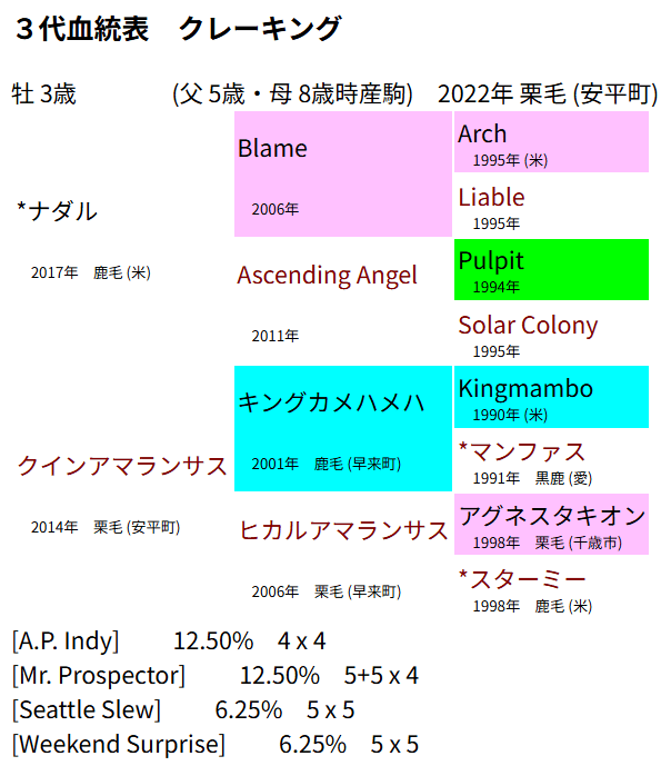 【AI分析】ユニコーンS・レース回顧（2025）｜VRS18🐴