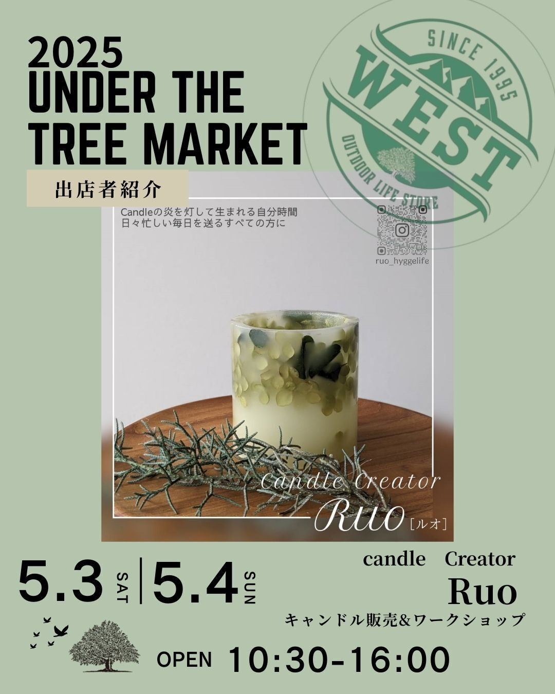 大盛況！WEST長岡店「UNDER THE TREE MARKET 2025」イベントレポート！モルック体験＆注目ブースも！｜ながしー｜新潟県 ...