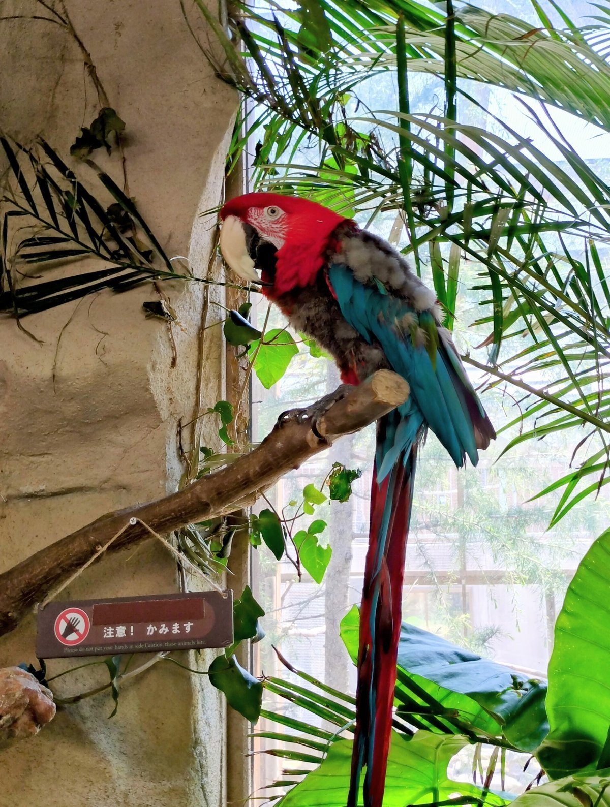 【旅行記】磐梯山と那須塩原 '25GWの旅③那須どうぶつ王国がスゴい！｜TRIP_YUKO｜お出かけジャンキー