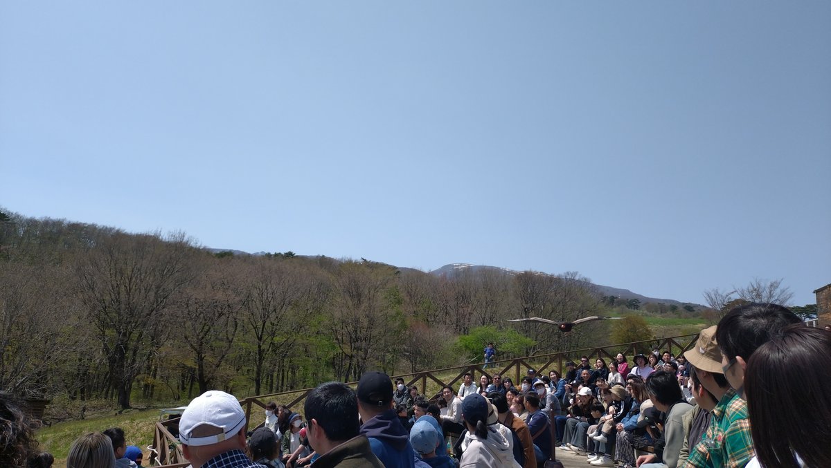 【旅行記】磐梯山と那須塩原 '25GWの旅③那須どうぶつ王国がスゴい！｜TRIP_YUKO｜お出かけジャンキー