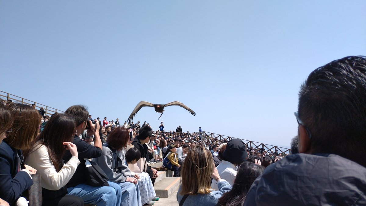 【旅行記】磐梯山と那須塩原 '25GWの旅③那須どうぶつ王国がスゴい！｜TRIP_YUKO｜お出かけジャンキー