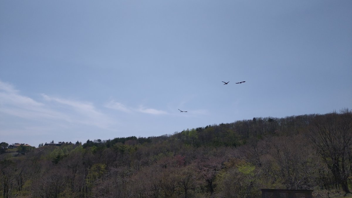 【旅行記】磐梯山と那須塩原 '25GWの旅③那須どうぶつ王国がスゴい！｜TRIP_YUKO｜お出かけジャンキー