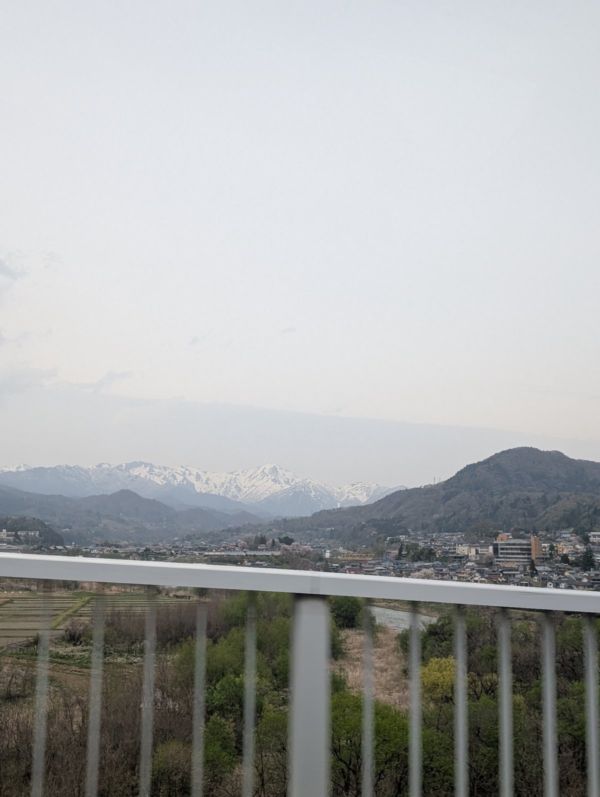 【レース】関東チャレンジロードレース｜yuuma iwamoto(ゆゆ)