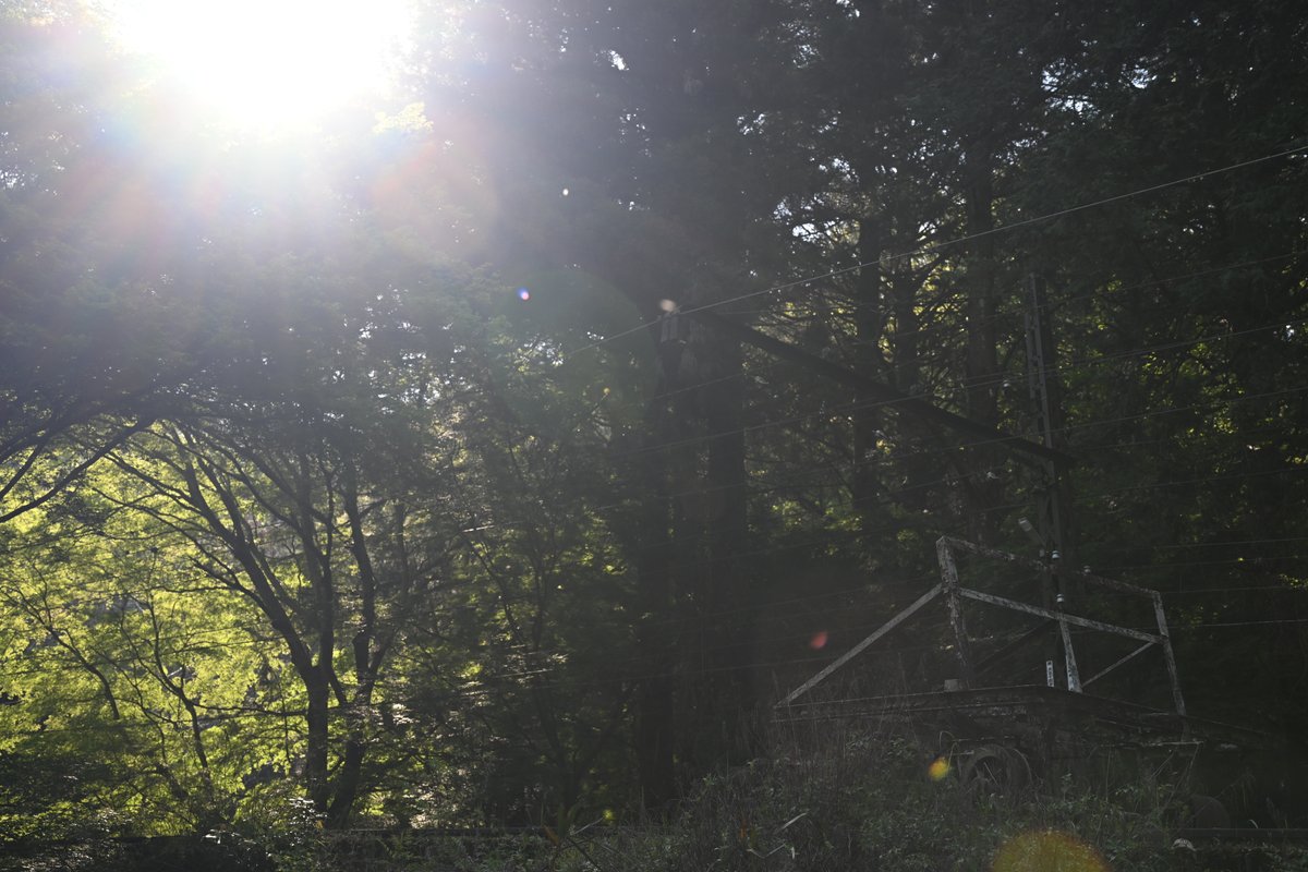 【写真】Nikkor Z 28-135mm f/4 PZ｜Yusuke Marianne