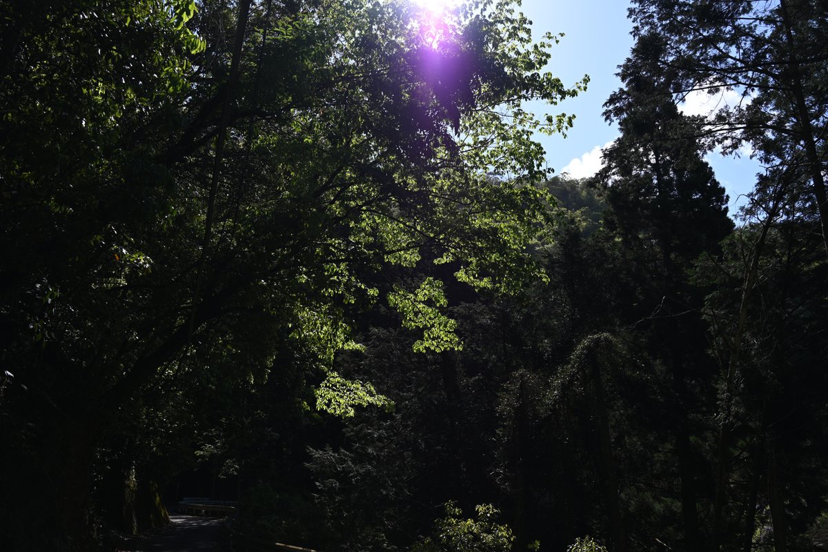 【写真】Nikkor Z 28-135mm f/4 PZ｜Yusuke Marianne