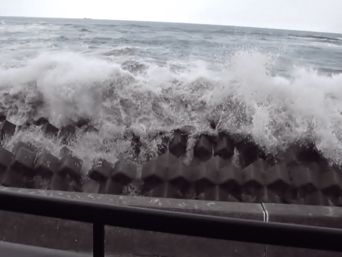 連載「TUNAGO」第7回【対談】とよまの灯台倶楽部部長・小野陽洋さん×「ある光」原作者・阪本繁紀さんVol.1～来る災害への備えに「行動再確認を」～｜「ある光」製作委員会